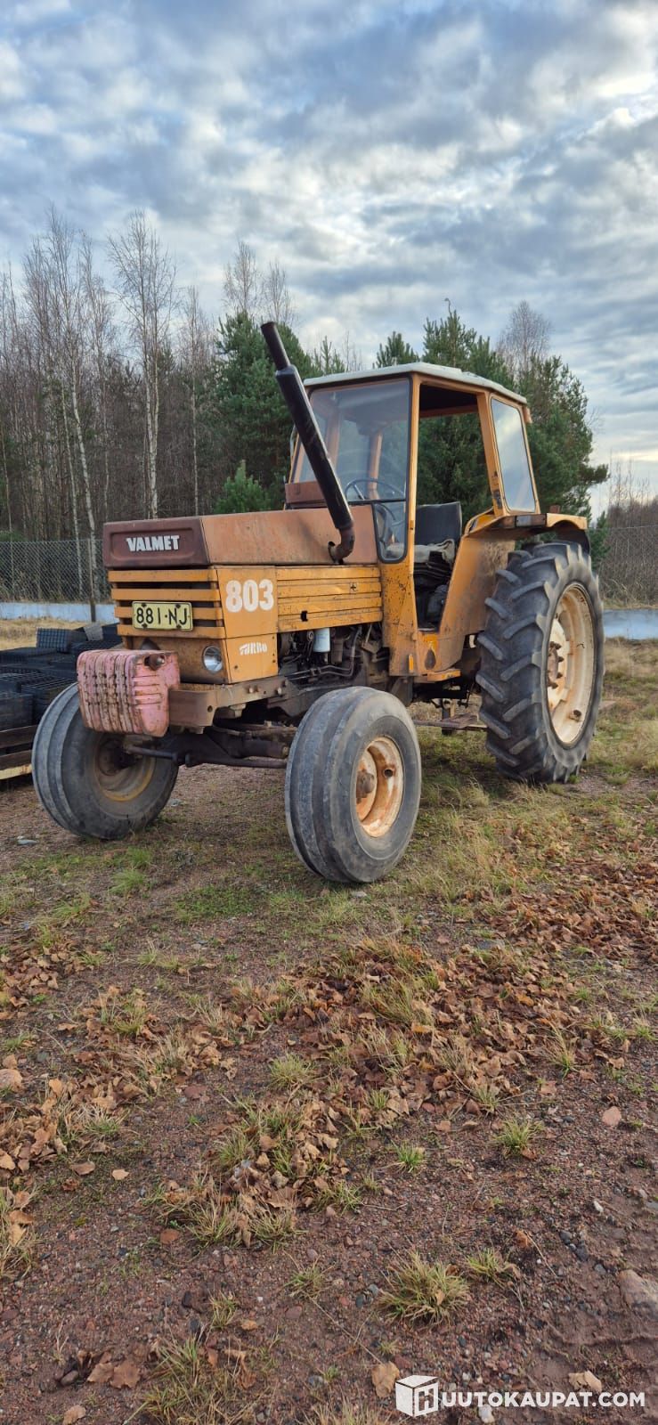 Valmet 803, 1981, Loimaa | Huutokaupat.com