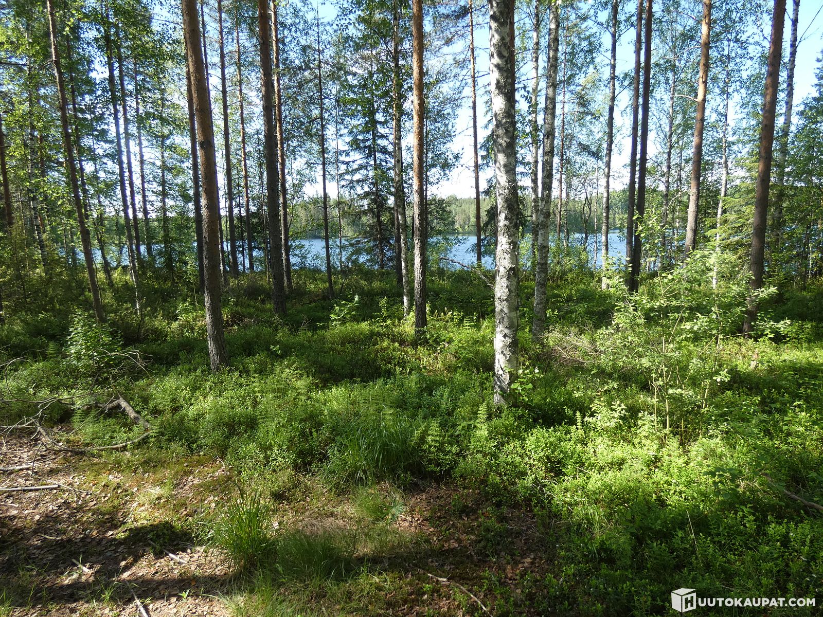 Ulosmitattu vapaa-ajan kiinteistö Pieksämäellä Jokijärven rannalla ...