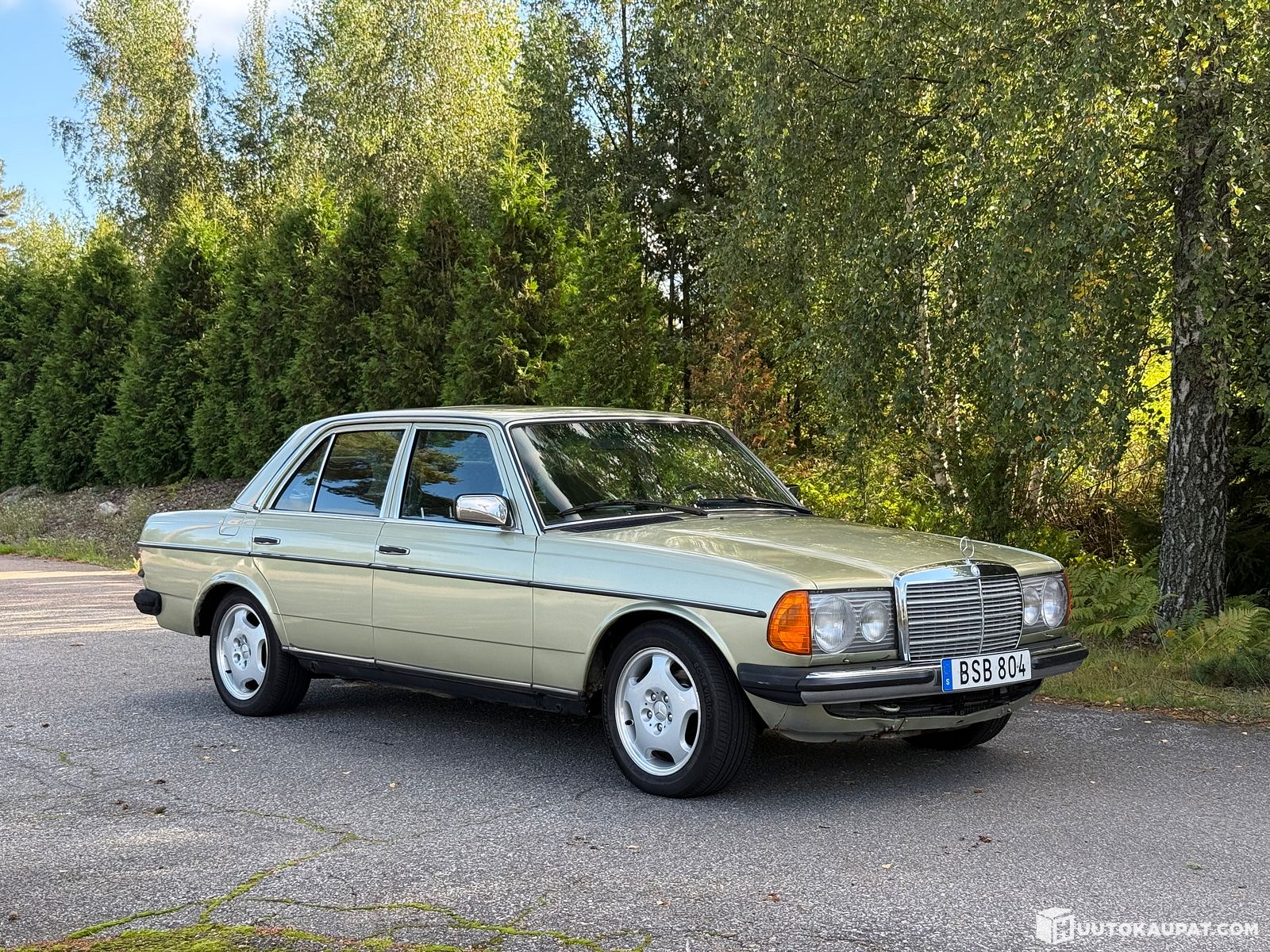 Mercedes-Benz 250 W123, 1980, Raasepori | Huutokaupat.com