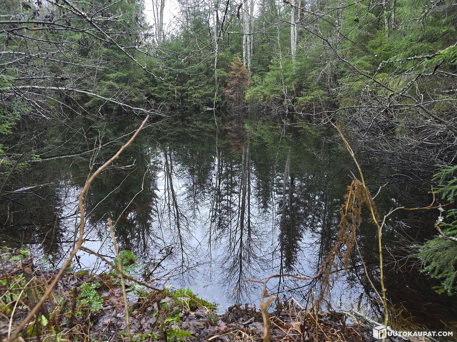 Ulosmitattu Kiinteistö (1,0220 ha) Juhtimäki, Ikaalinen, Ikaalinen ...