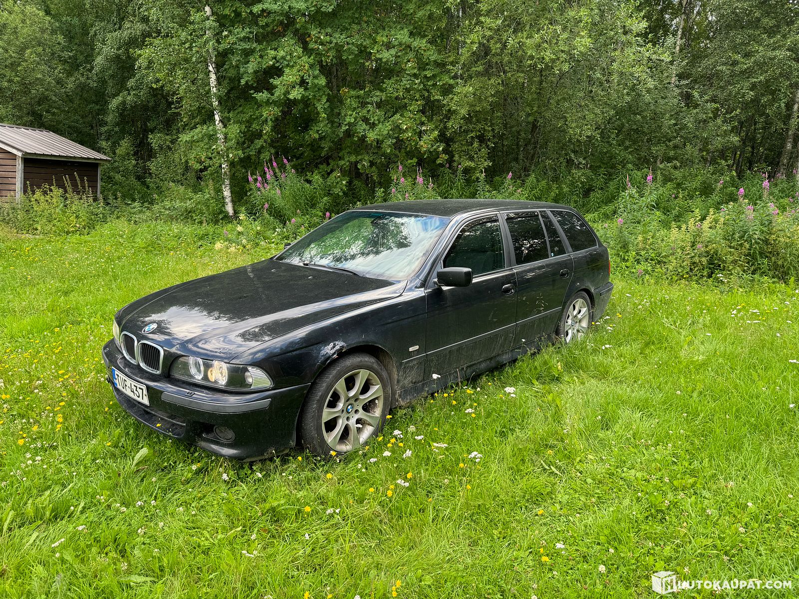BMW 520, 2003, Alavus | Huutokaupat.com